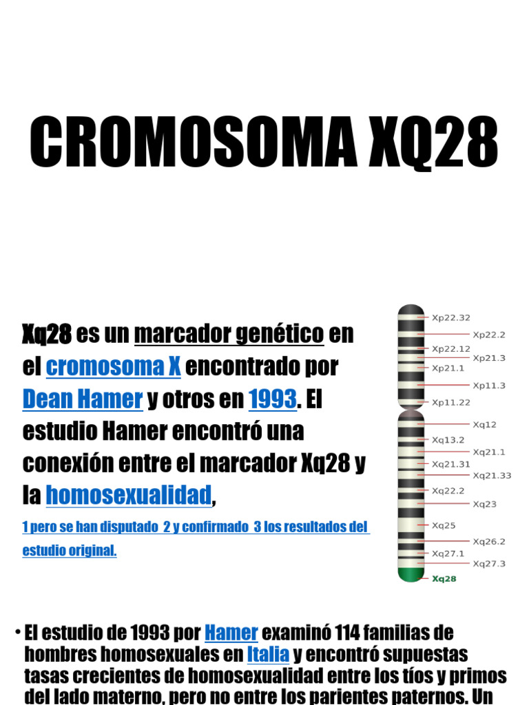 Cromosoma Q28 | PDF | Genética
