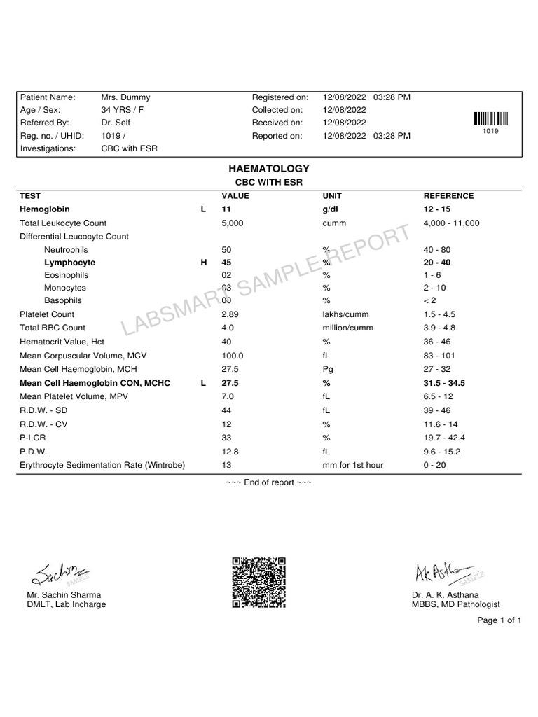 CBC With Esr | Download Free PDF | White Blood Cell | Immunology