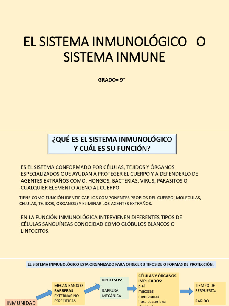 El Sistema Inmunológico o Sistema Inmune | PDF | Sistema inmune | Sistema inmune innato