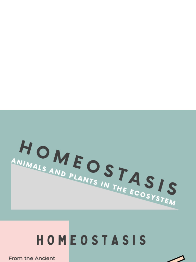 Plants and Animals in The Ecosystem | PDF | Homeostasis | Biology