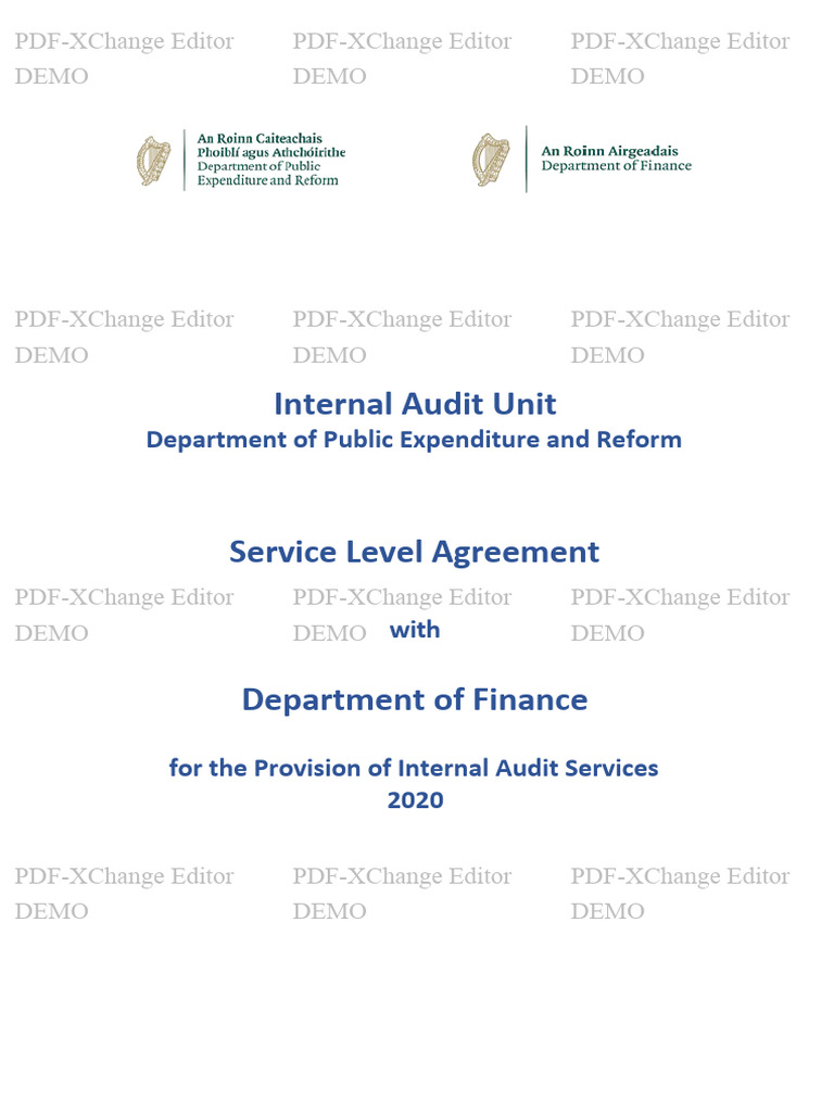 Sample SLA For Internal Audit | PDF | Internal Audit | Audit