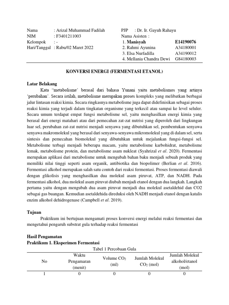 Minggu 6 - Arizal Muhammad Fadilah - F3401211003 - Konversi Energi ...