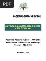 Raízes Adventícias: Exemplos e Funções | PDF | Raiz | Morfologia vegetal