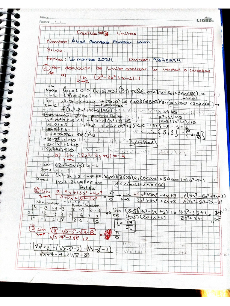 Práctica 2 Mat101 | PDF