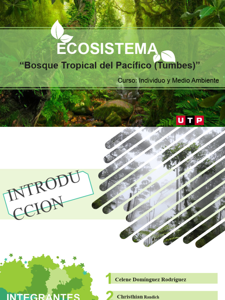 Plantilla PowerPoint de Ecosistemas BOSQUE TROPICAL 2021 | PDF | Los bosques | Agricultura