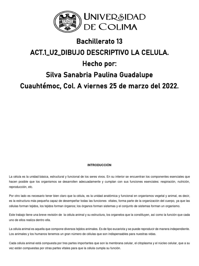 Act.1 - U2 - Dibujo Descriptivo | Descargar gratis PDF | Biología ...
