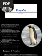 Life Cycle of Penguin | PDF | Penguin | Birds