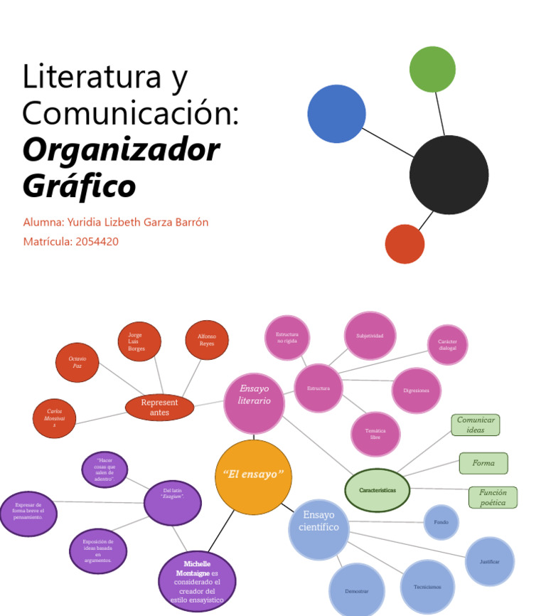 Literatura y Comunicación.Organizador Gráfico | PDF | Ensayos | Escritura