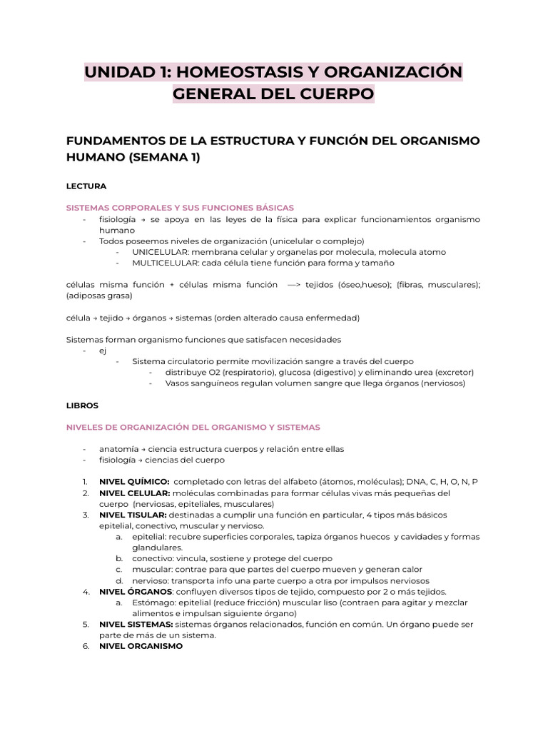 Unidad 1 - Estructura y Funcion | PDF | Epitelio | Páncreas