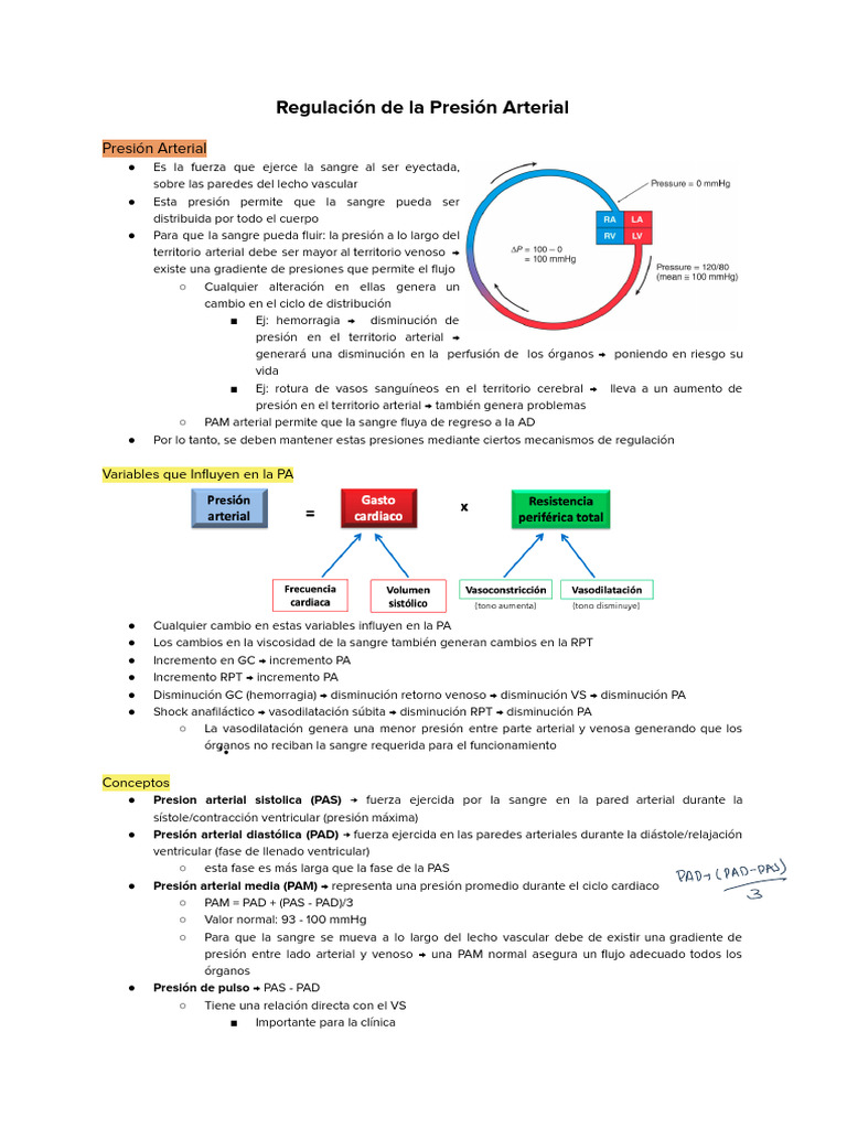 Parte 5 Resu | PDF | Edema | Capilar