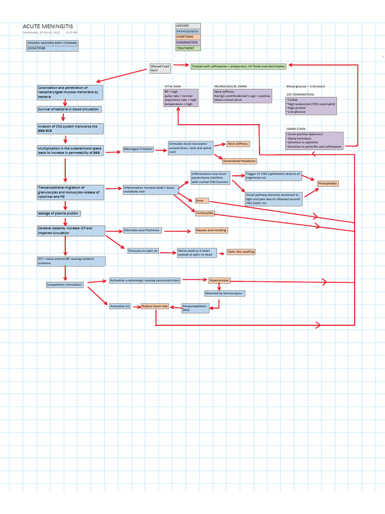 Mind Map Acute Meningitis | PDF