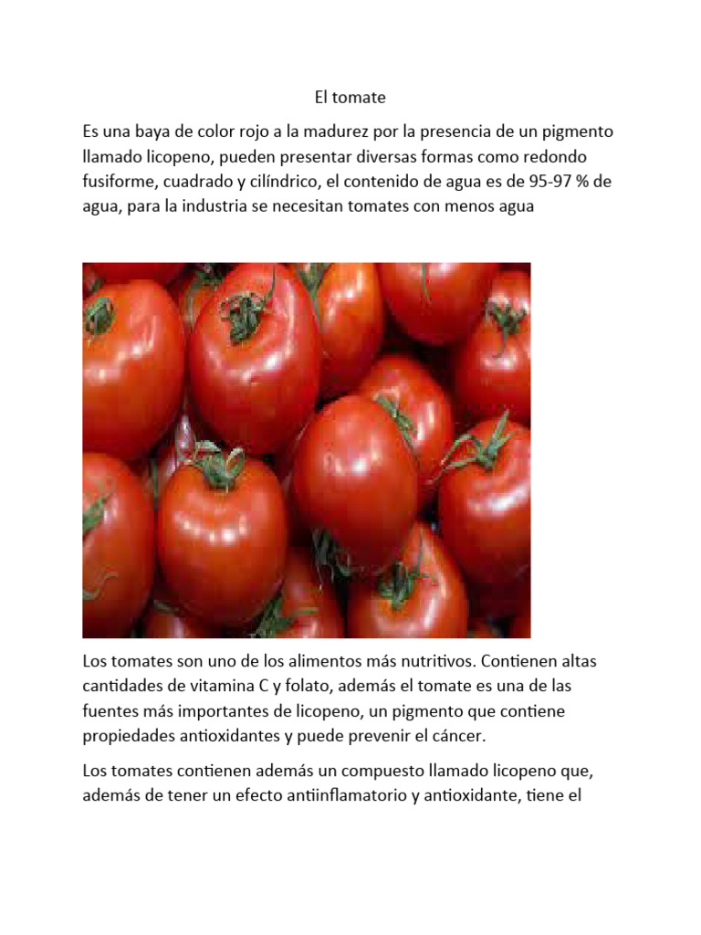 El tomate | PDF