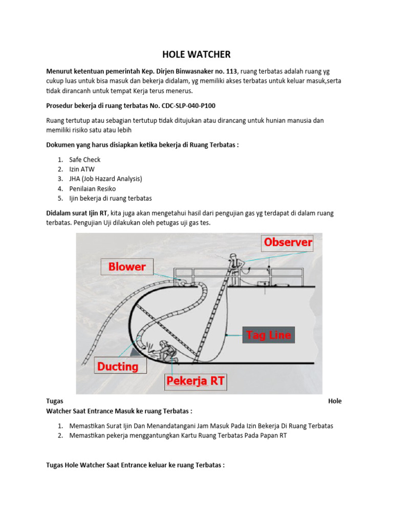 Ringkasan Hole Watcher | PDF