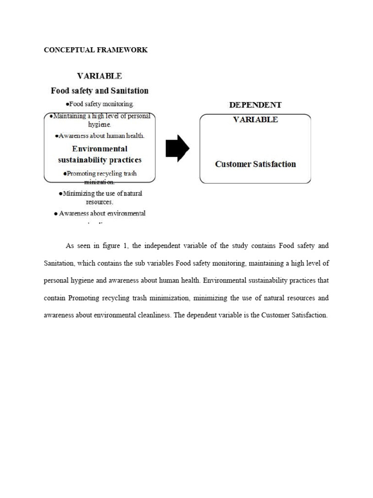 Conceptual Framework | PDF