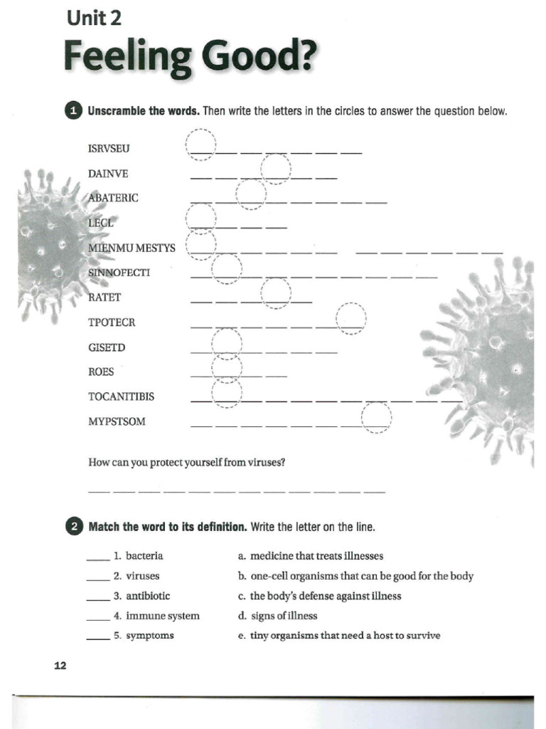 Unit 2 Workbook | PDF