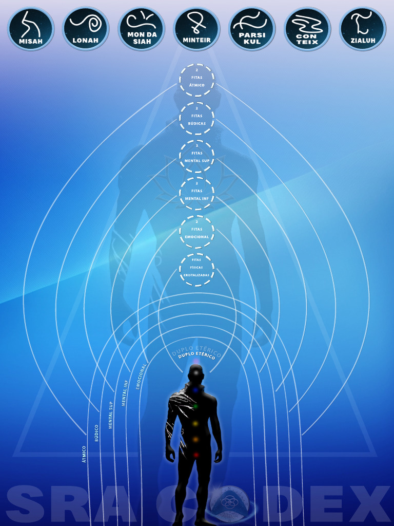 Interface Sra Codex | PDF