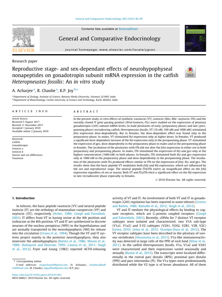 Neurohypophyseal Peptides in Catfish GtH Expression | PDF | Biology ...