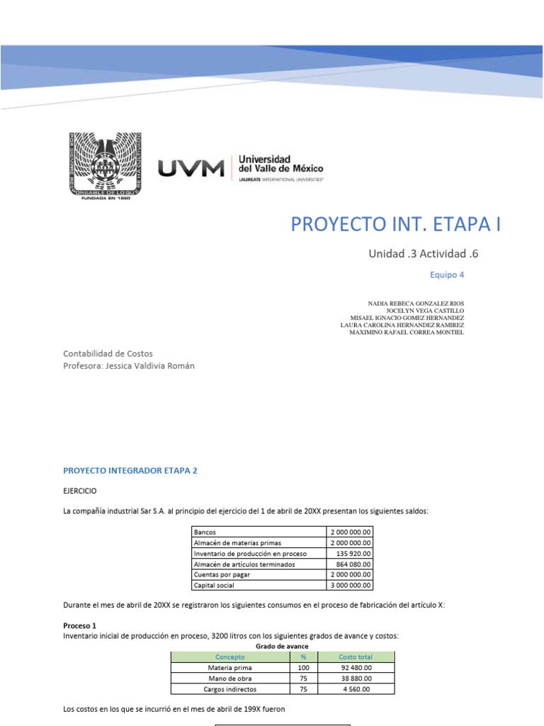 A6 - Proyecto Integrador Etapa II | PDF | Comercio | Economias