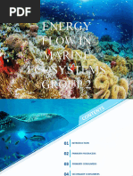 12 Field Guide - Philippine Beach Forest Species | PDF | Plants | Botany