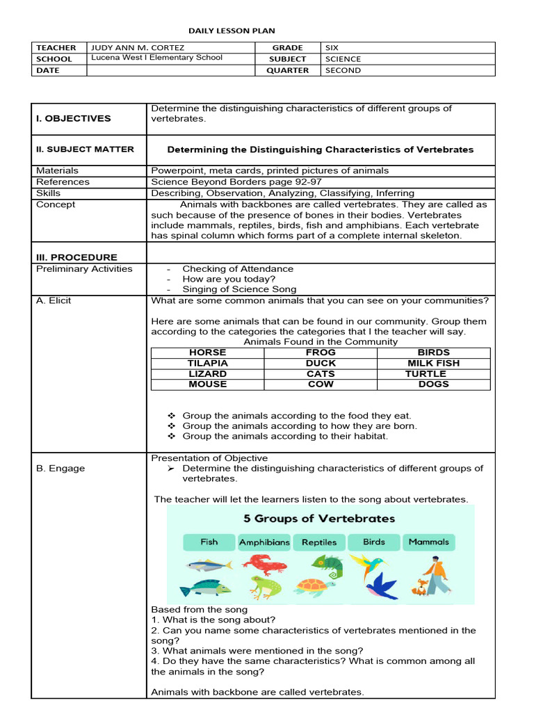 DAILY LESSON PLAN Science 6 | Download Free PDF | Reptile | Vertebrates