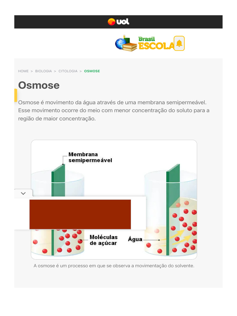 Osmose - o Que É e Como Ocorre Na Célula Animal e Vegetal | PDF | Osmose | Biologia