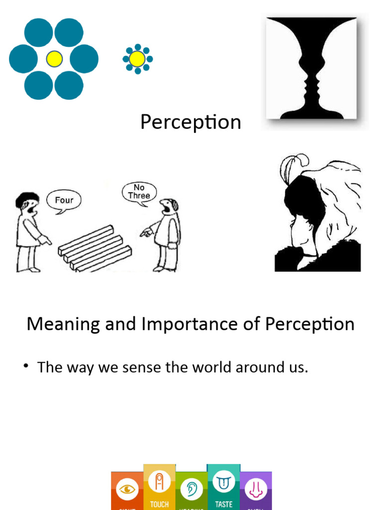 4 Perception | PDF | Perception | Decision Making