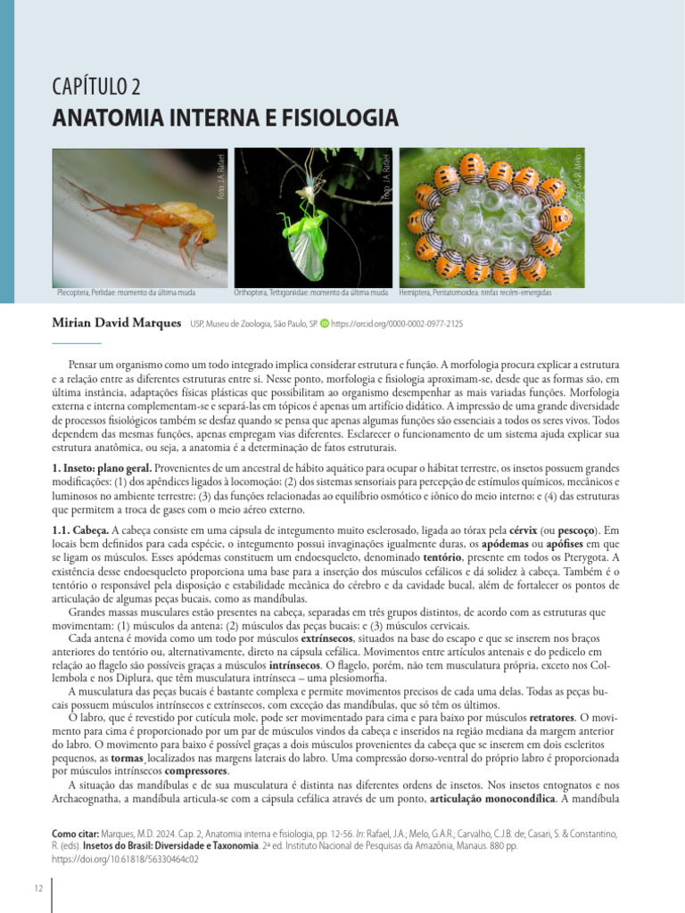 CAP2_Anatomia_Interna_e_Fisiologia | PDF | Insetos | Anatomia