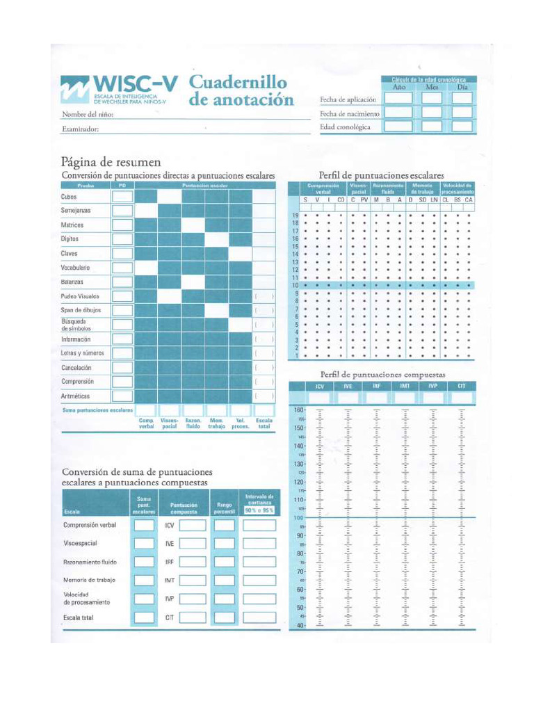 Página resumen WISC-1-1 | PDF