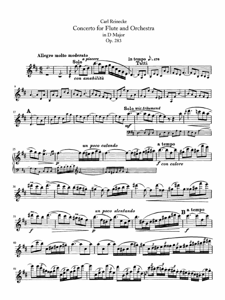Reinecke Flute Concerto | PDF