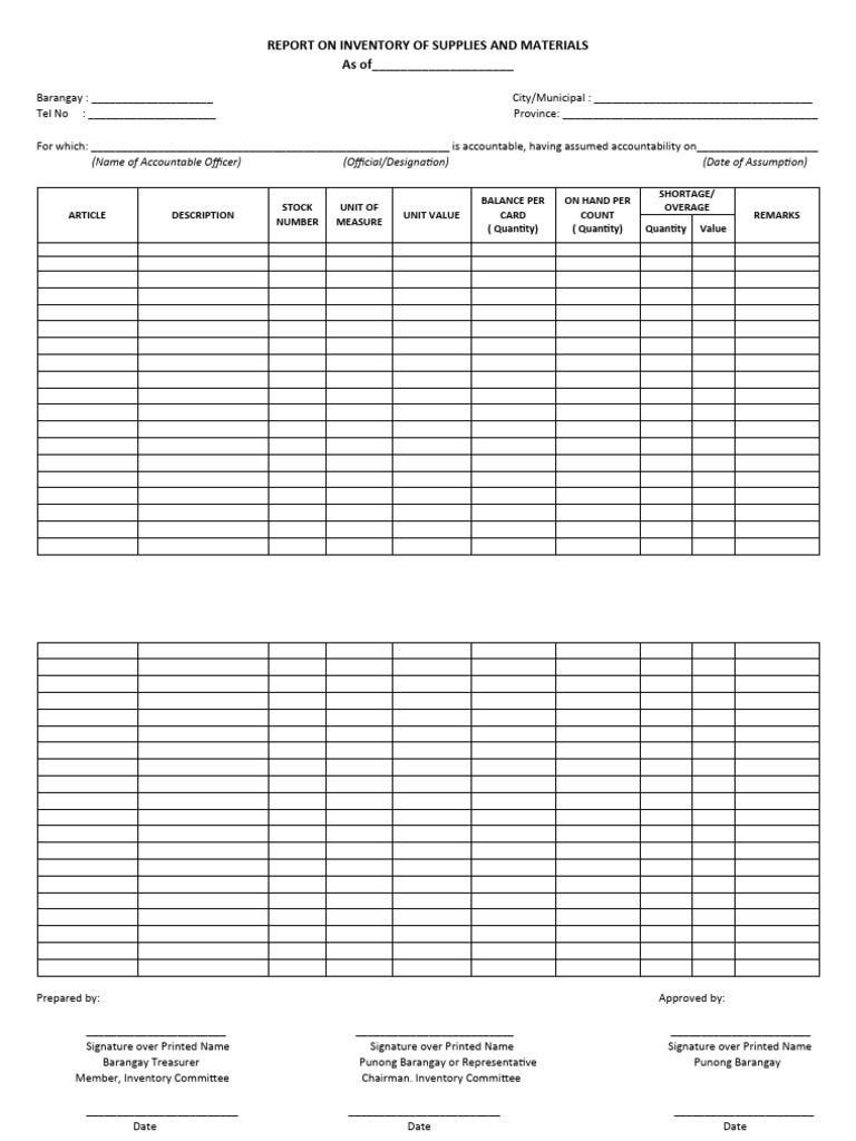 Report On Inventory of Supplies and Materials | PDF