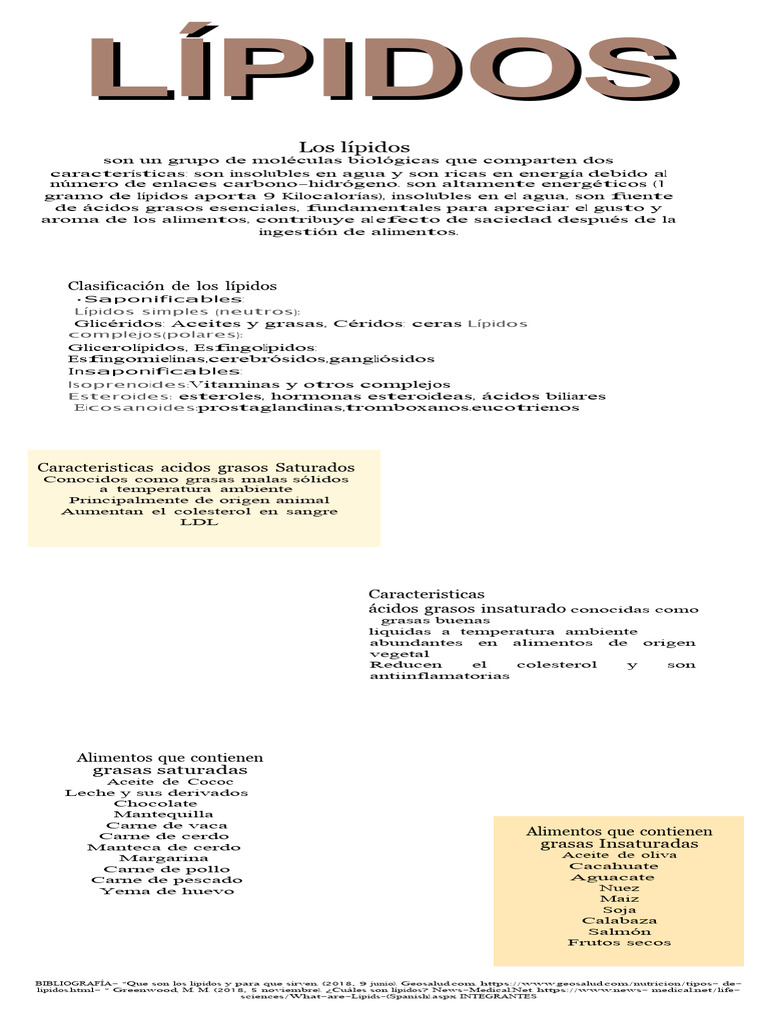 Lipidos y Todas Sus Caracteristicas | PDF | Lípido | gordo