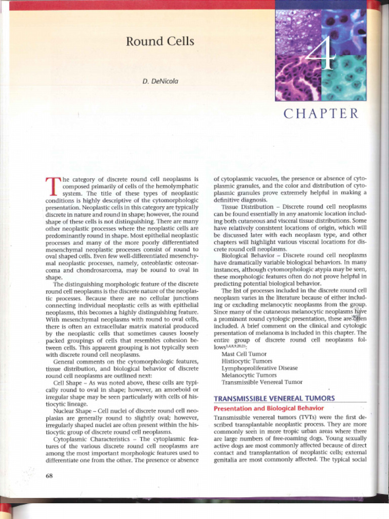 Cytology Cat and Dog | PDF