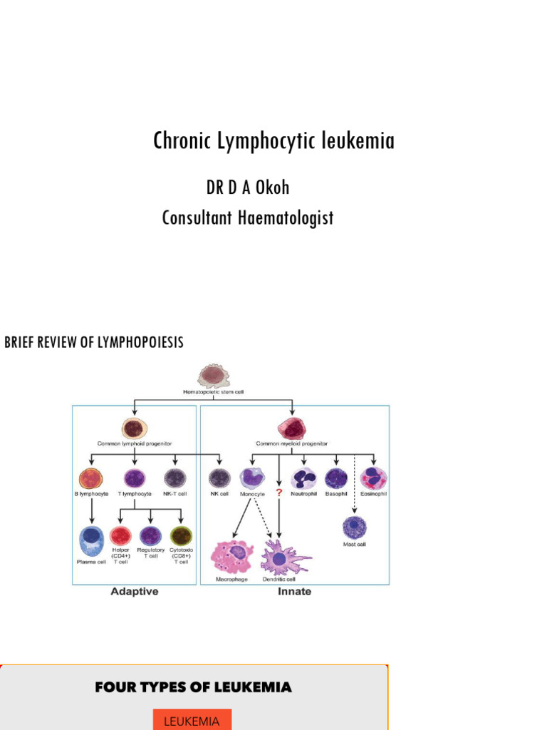 Chronic Lymphocytic Leukemia 2023 | PDF | Leukemia | Lymphocyte