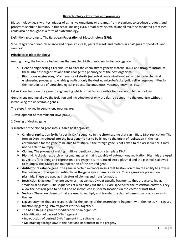 Biotechnology - Principle Process | PDF | Restriction Enzyme | Plasmid