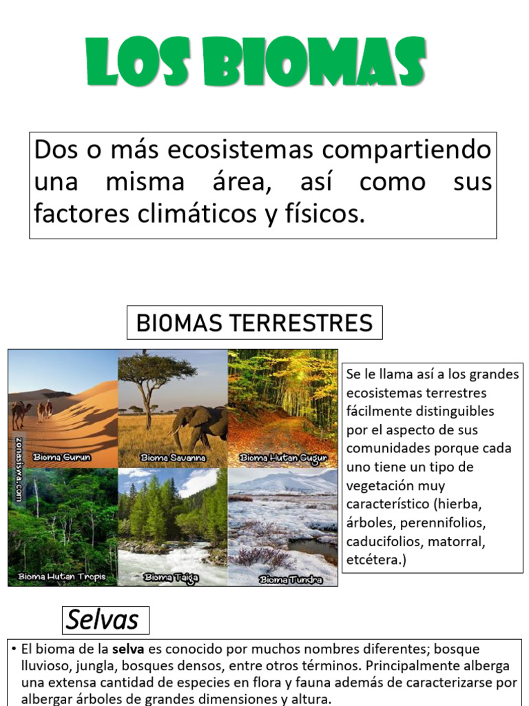 los-biomas (2) | PDF | Los bosques | Ecosistema