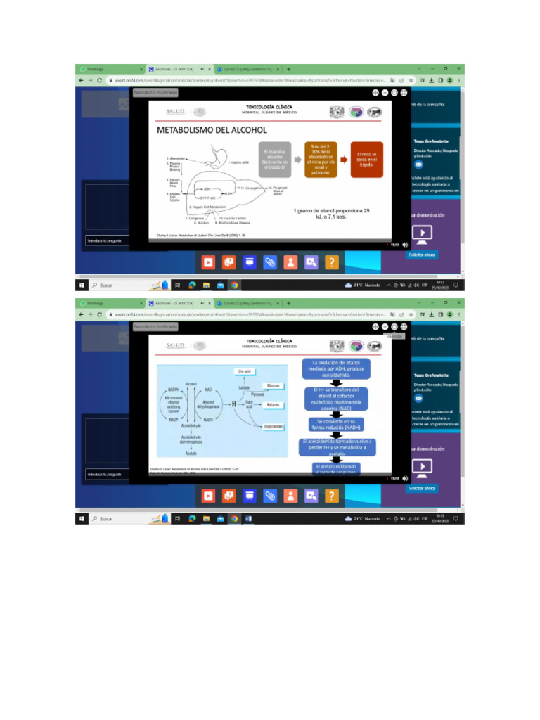 Alcohol 666666666666 | PDF