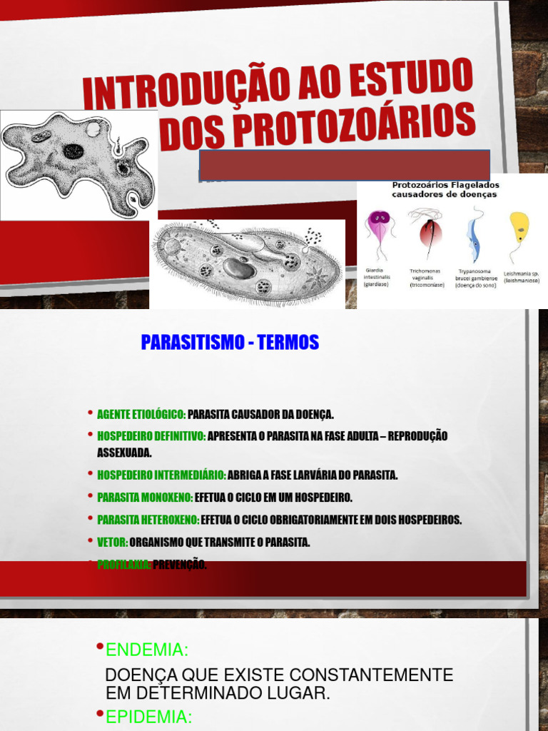 Ciclos de Parasitas: Monoxenos e Heteroxenos | PDF | Casa e Jardim ...