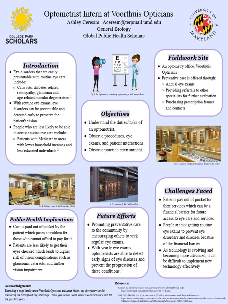 Academic Showcase Poster - Ashley Ceresini 3 | PDF | Optometry | Visual Impairment