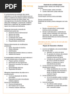 Anatomia do Dente 27: Molar Superior | PDF | Raiz | Dente