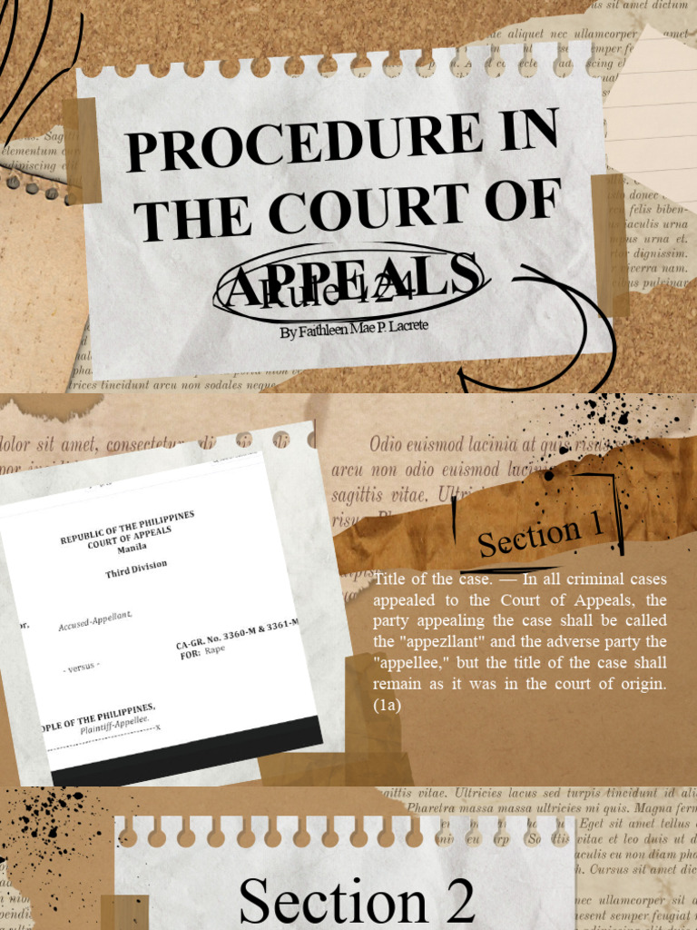 Rule 124 | PDF | Appeal | Brief (Law)