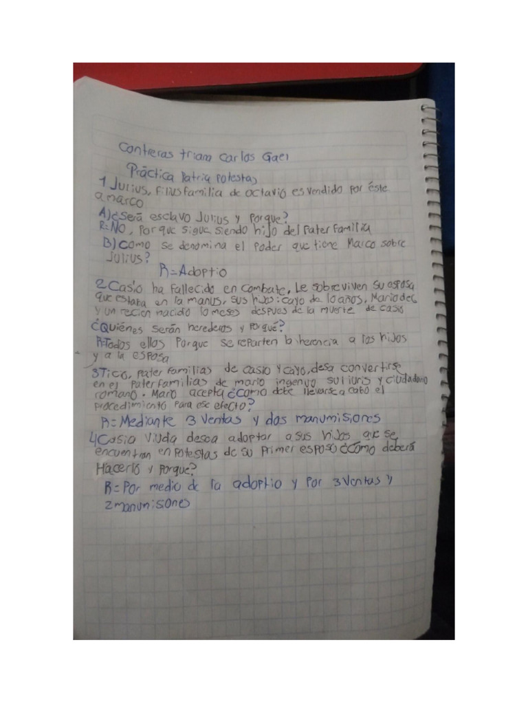 Patria Potestas | PDF