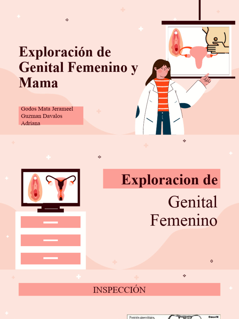 Exploracion Genital Femenino y Mama | PDF | Vagina | Sistema Reproductor Mamífero