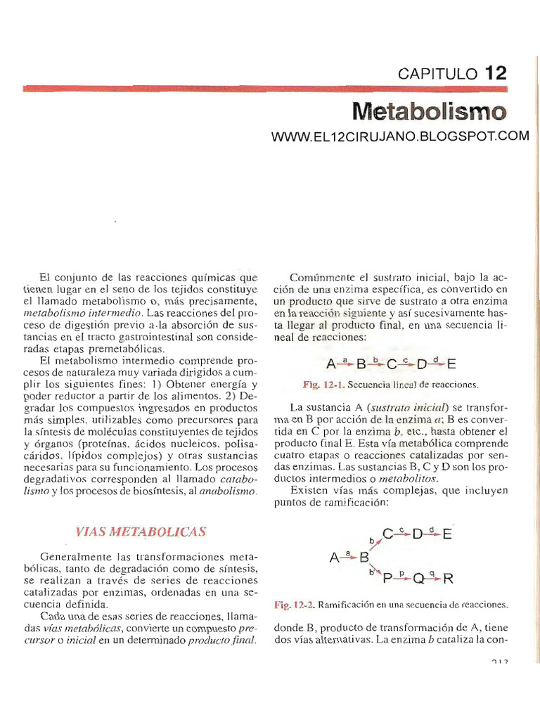 Capitulo 12. Metabolismo. Qca Bca. 8a Ed. Antonio Blanco | PDF