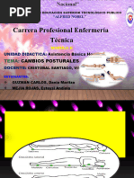 Posicion Flower Semiflower | PDF