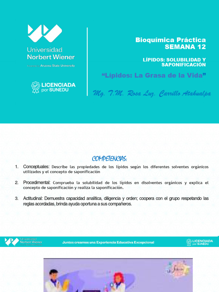 Practica 12 Lípidos Solubilidad Y Saponificación Pdf Ester Moléculas