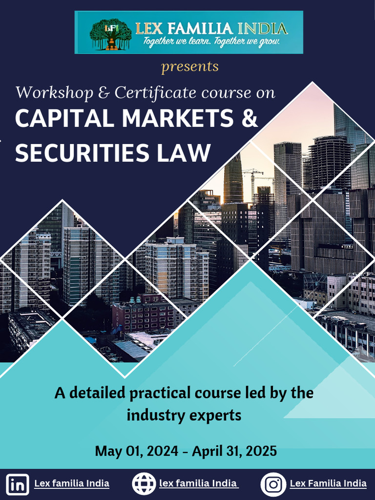 LFI-Capital Markets Brochure (1 Year) | PDF | Securities (Finance) | Law Firm