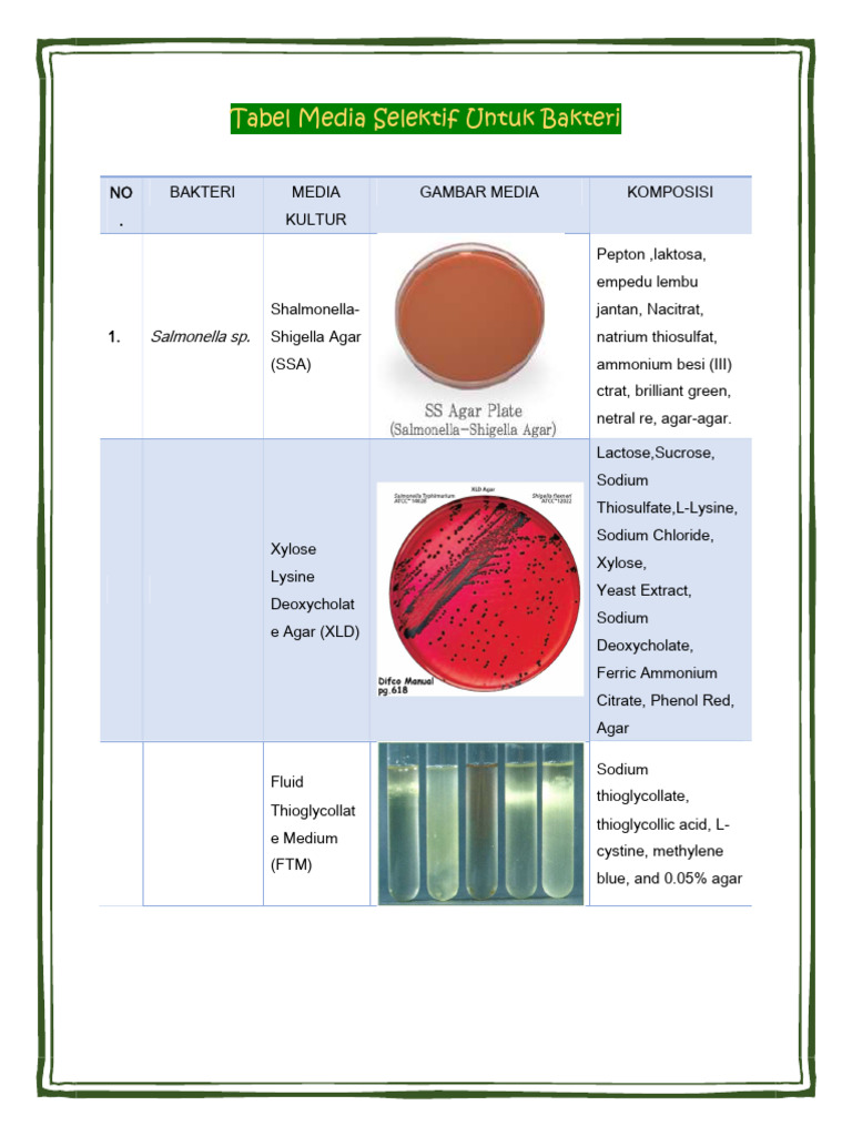 Mikrobiologi Farmasi - Media Kultur Bakteri Dan Komposisinya | PDF ...