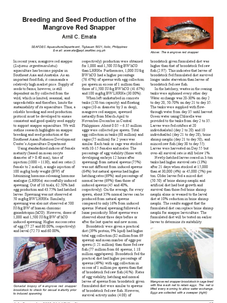 Mangrove Red Snapper Breeding | PDF | Spawn (Biology) | Human Chorionic ...