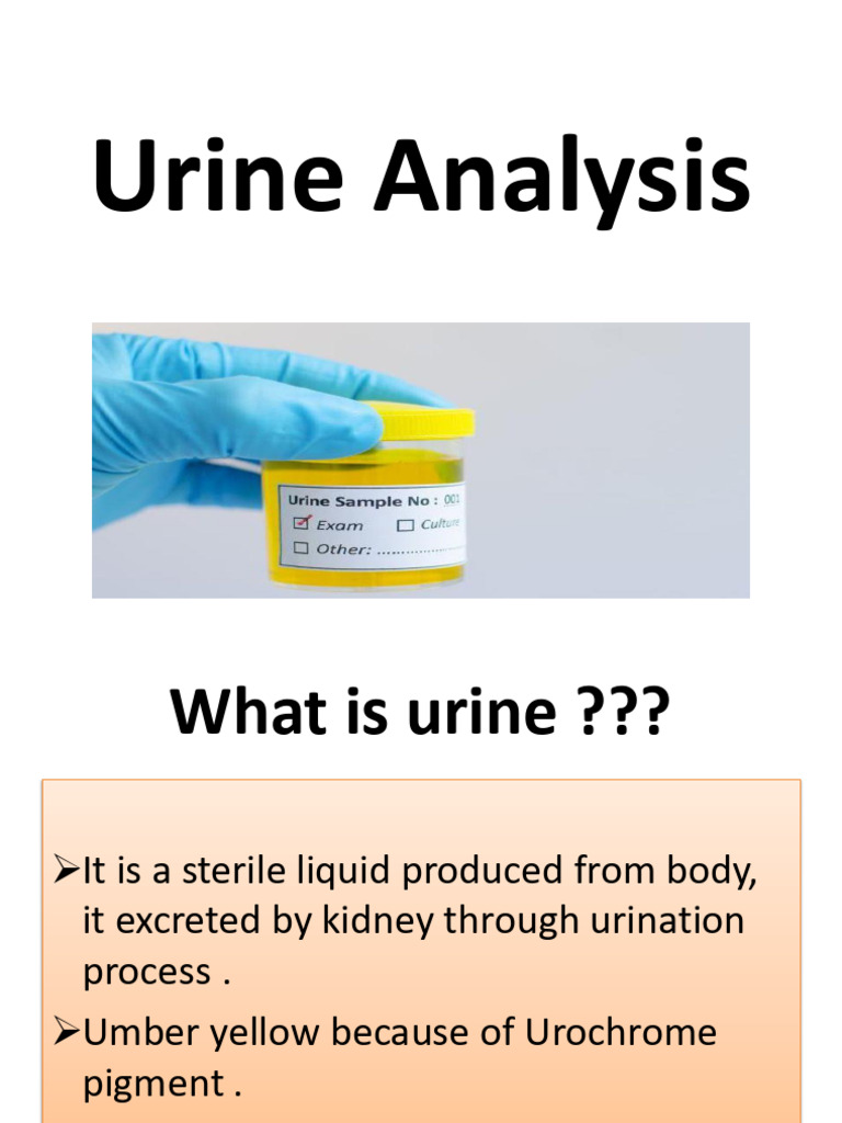 Urine Analysis | PDF | Urine | Medical Specialties