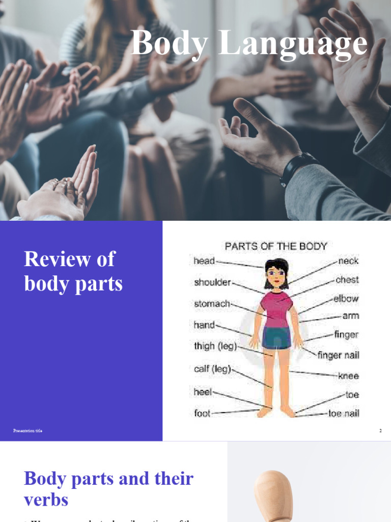 body-language-pdf-anatomical-terms-of-motion-musculoskeletal-system